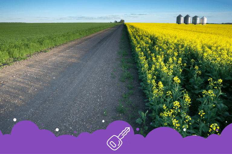 Saskatchewan Car Insurance Guide