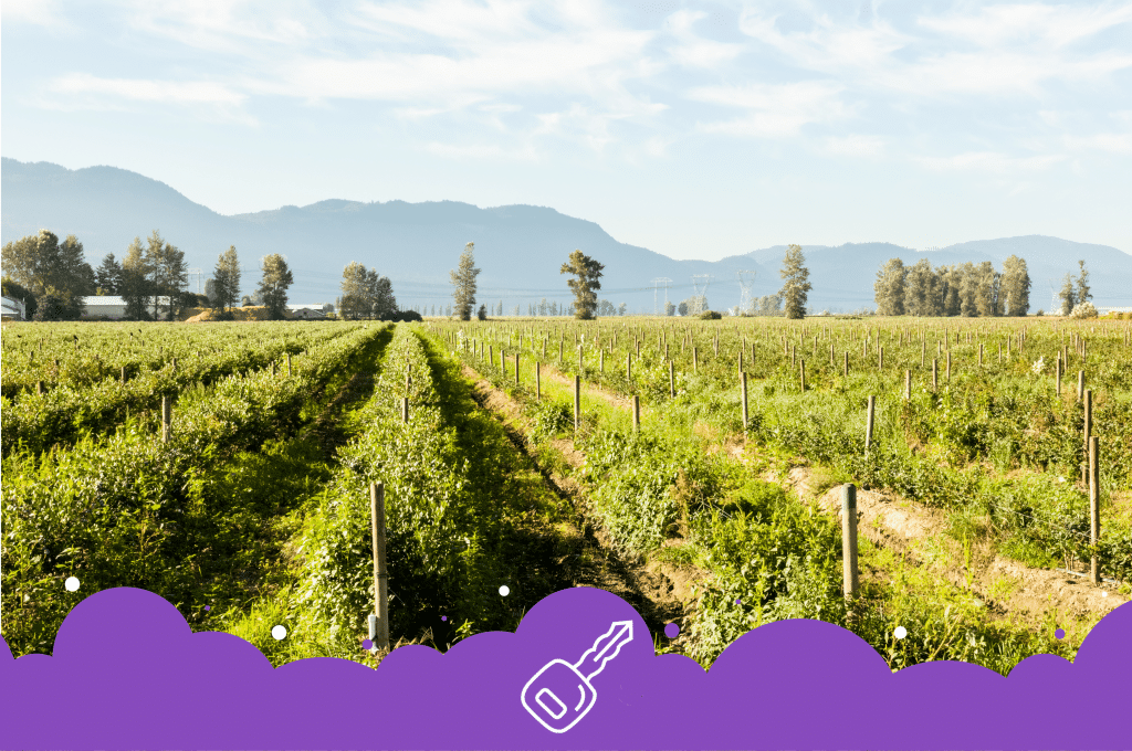 Saskatchewan Car Insurance Guide