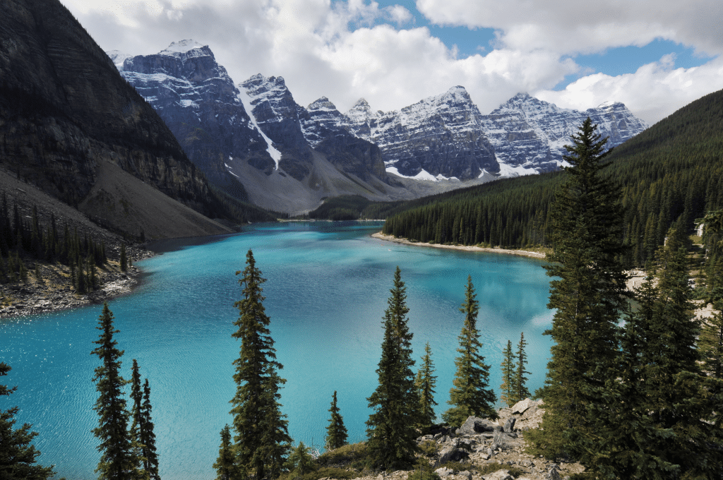 Driver's Abstract Guide