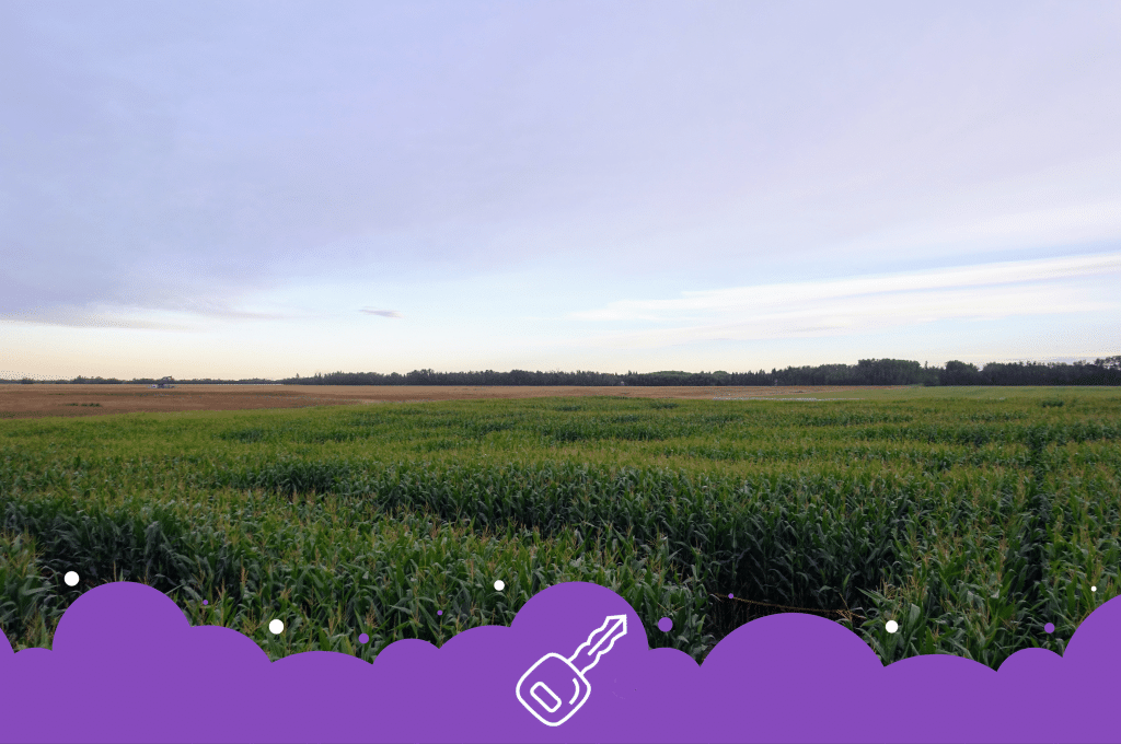 Saskatchewan Car Insurance Guide